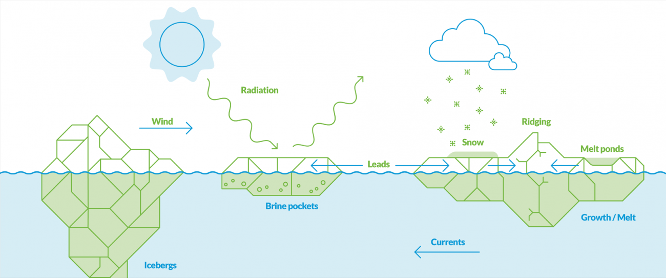 Ocean Explainers : Science Office