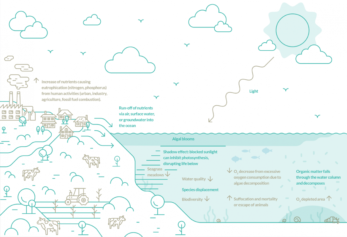 Ocean Explainers : Science Office